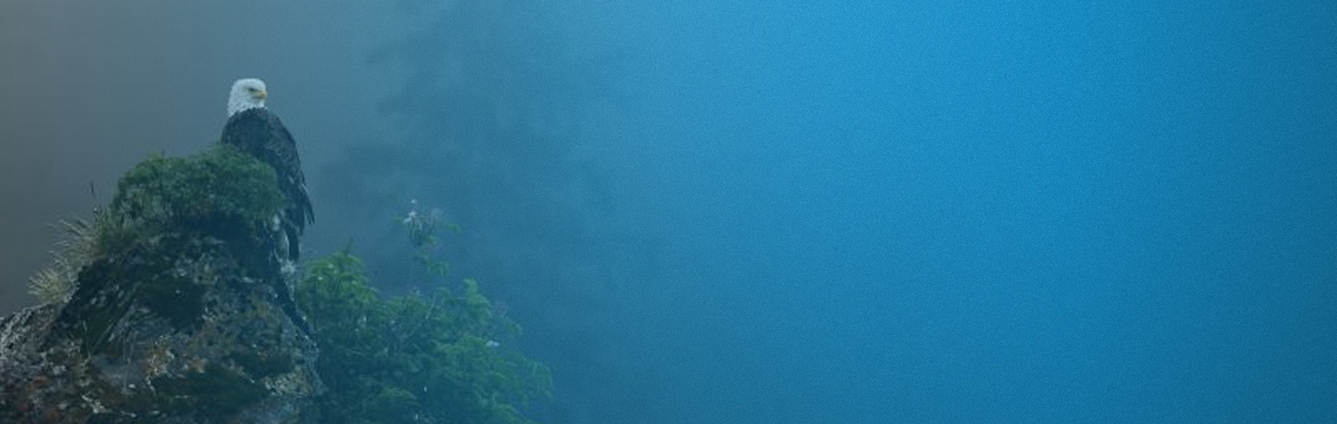 NEPA | National Environmental Policy Act